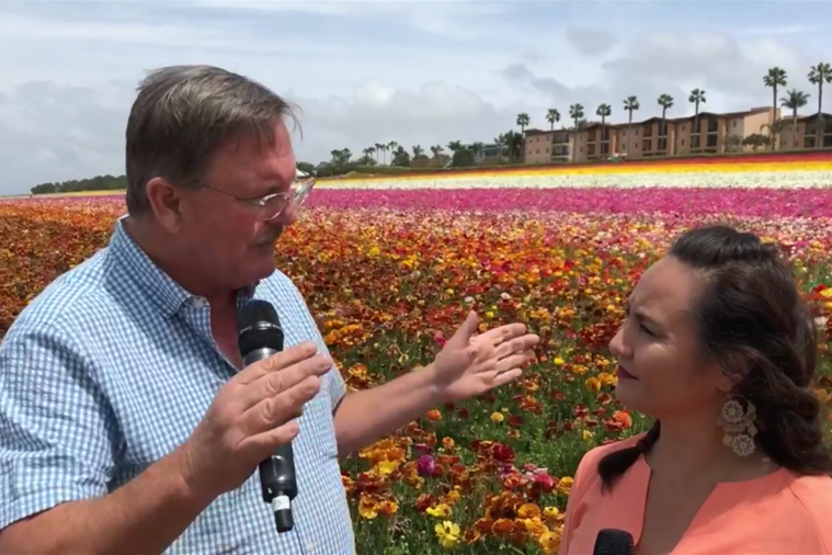 Sheryl got a tour of The Flower Fields in Carlsbad… Just in time for ...