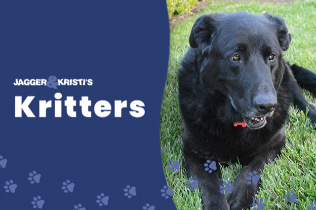 Jagger and Kristi's Kritters: Meet Leo Getz - Magic 92.5