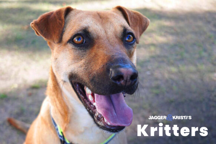 Jagger and Kristi's Kritter: Meet Kyle - Magic 92.5