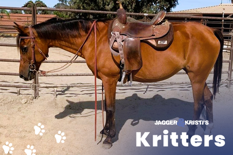 Jagger and Kristi's Kritters: Meet Pebbles - Magic 92.5