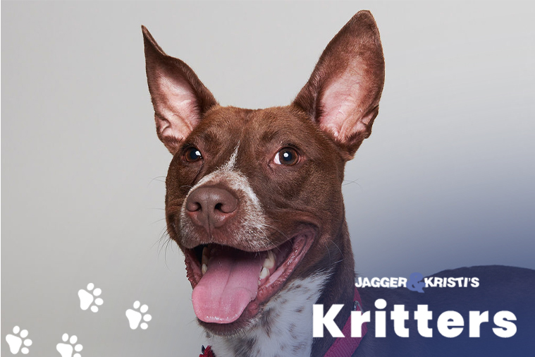 Jagger and Kristi's Kritter: Meet Reece - Magic 92.5