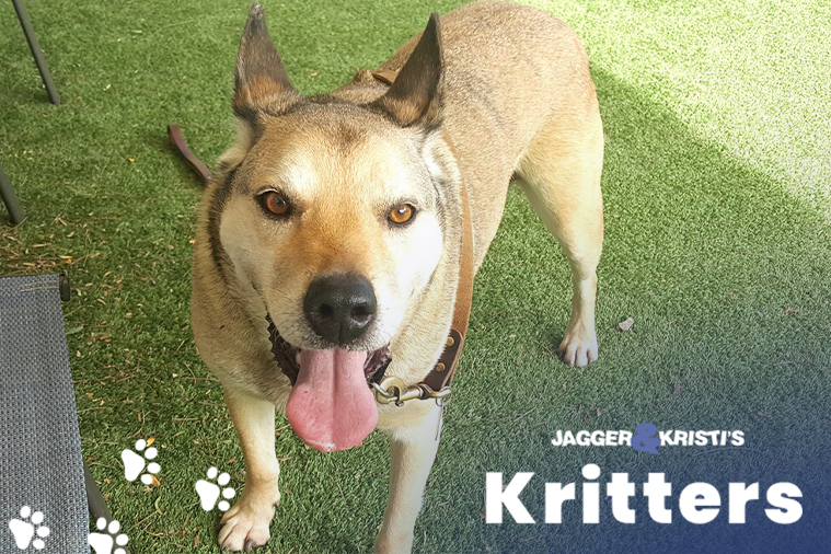 Jagger and Kristi's Kritters: Meet Ronnie - Magic 92.5