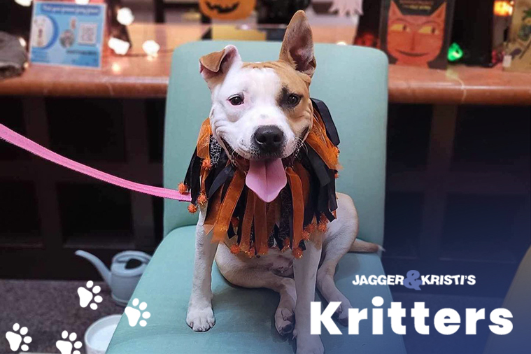 Jagger and Kristi's Kritter: Meet Zoe - Magic 92.5