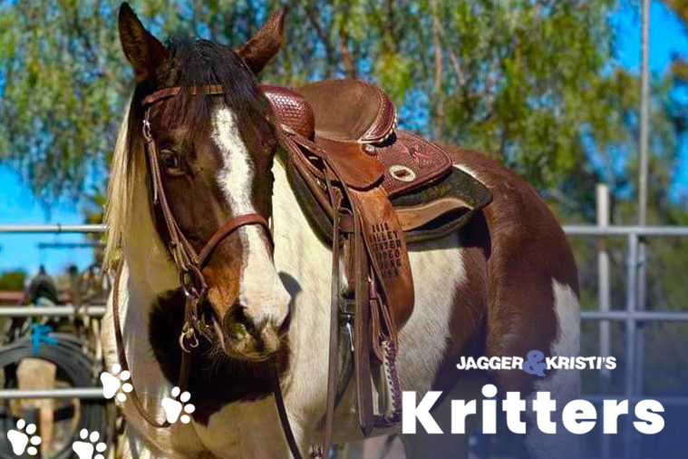 Jagger and Kristi's Kritters: Meet Bailey - Magic 92.5