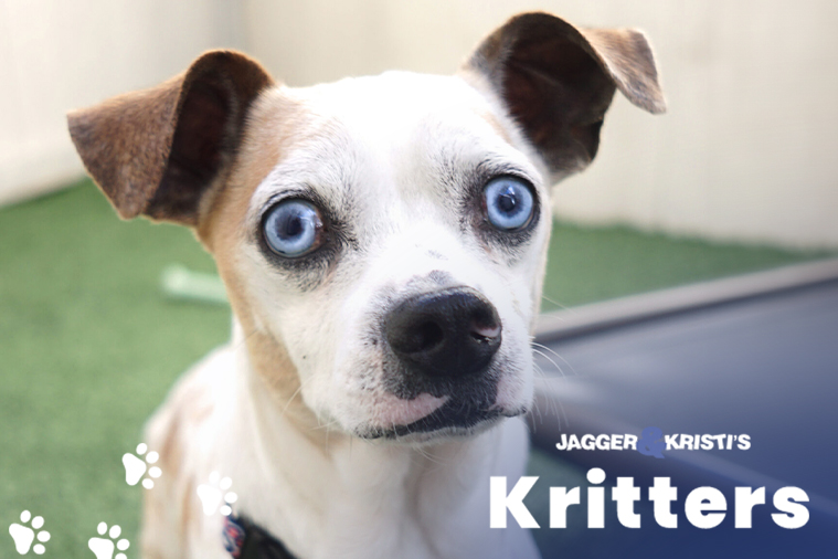 Jagger and Kristi's Kritters: Meet Spackle Jim - Magic 92.5