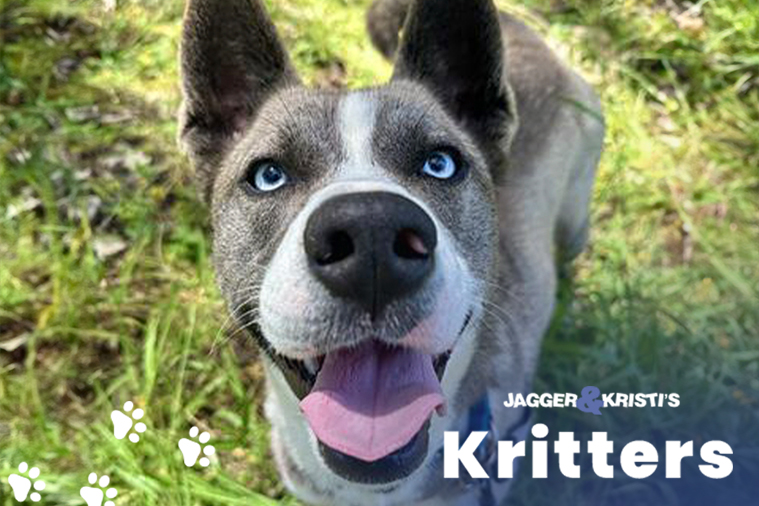 Jagger and Kristi's Kritters: Meet Rannie - Magic 92.5