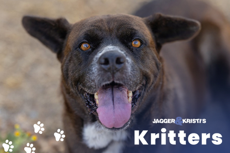 Jagger and Kristi's Kritters: Meet Delilah - Magic 92.5