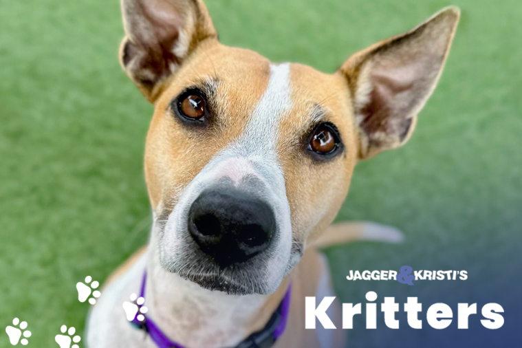 Jagger and Kristi's Kritters: Meet Mila - Magic 92.5